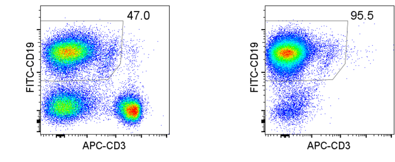 Mouse B Cell Isolation Kit | BACS™ Microbubble