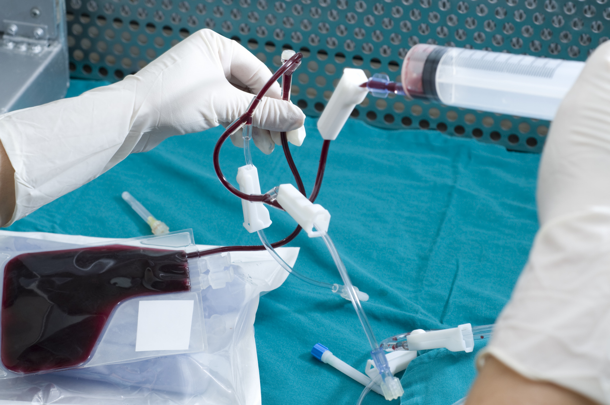 PBMC Isolation Protocols: Human PBMC From Whole Blood