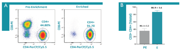Flow Cytometry Sample Preparation Protocols: Optimize Workflows