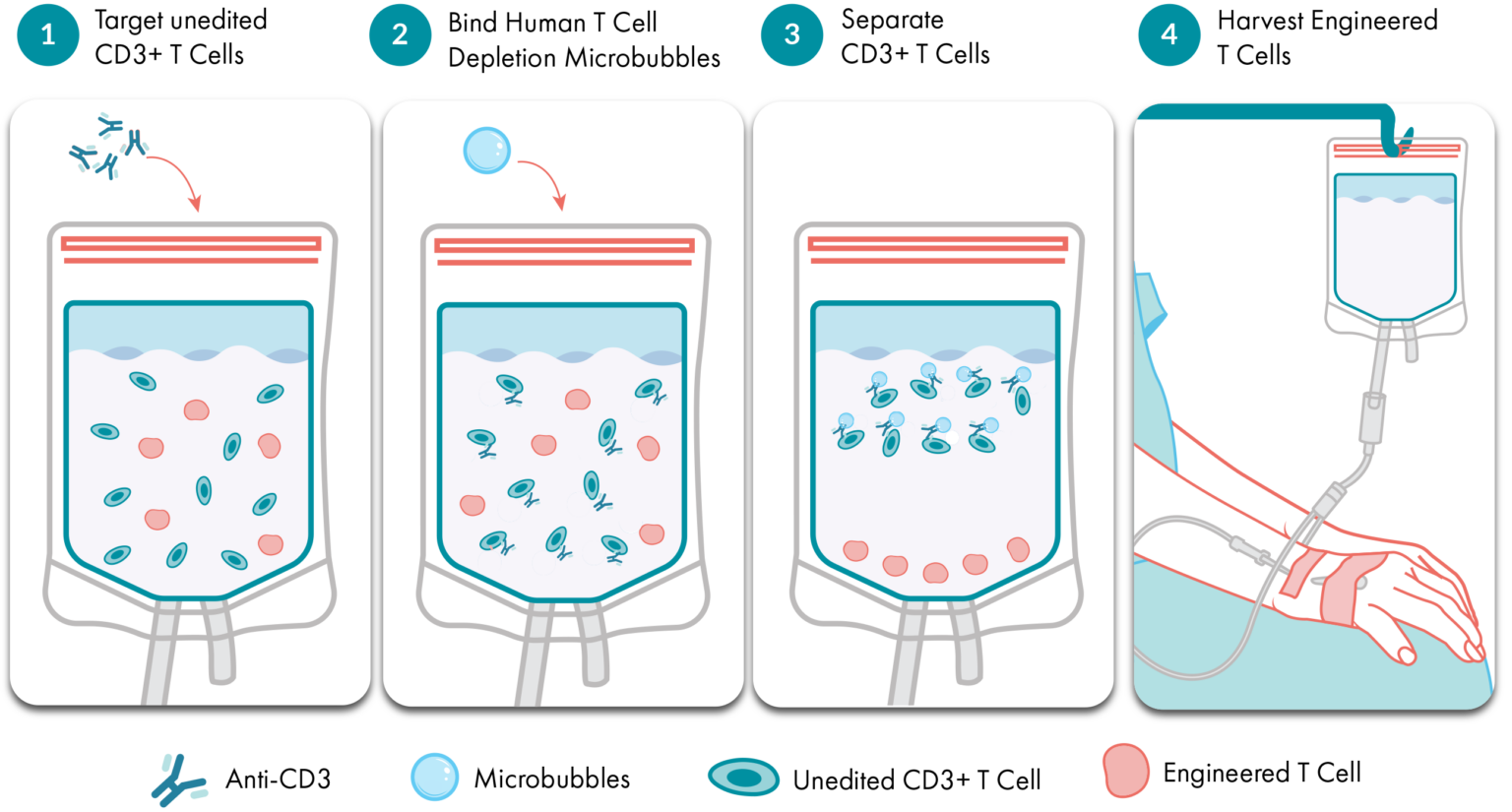 Human T Cell Depletion Kit | BACS™ Microbubble Technology