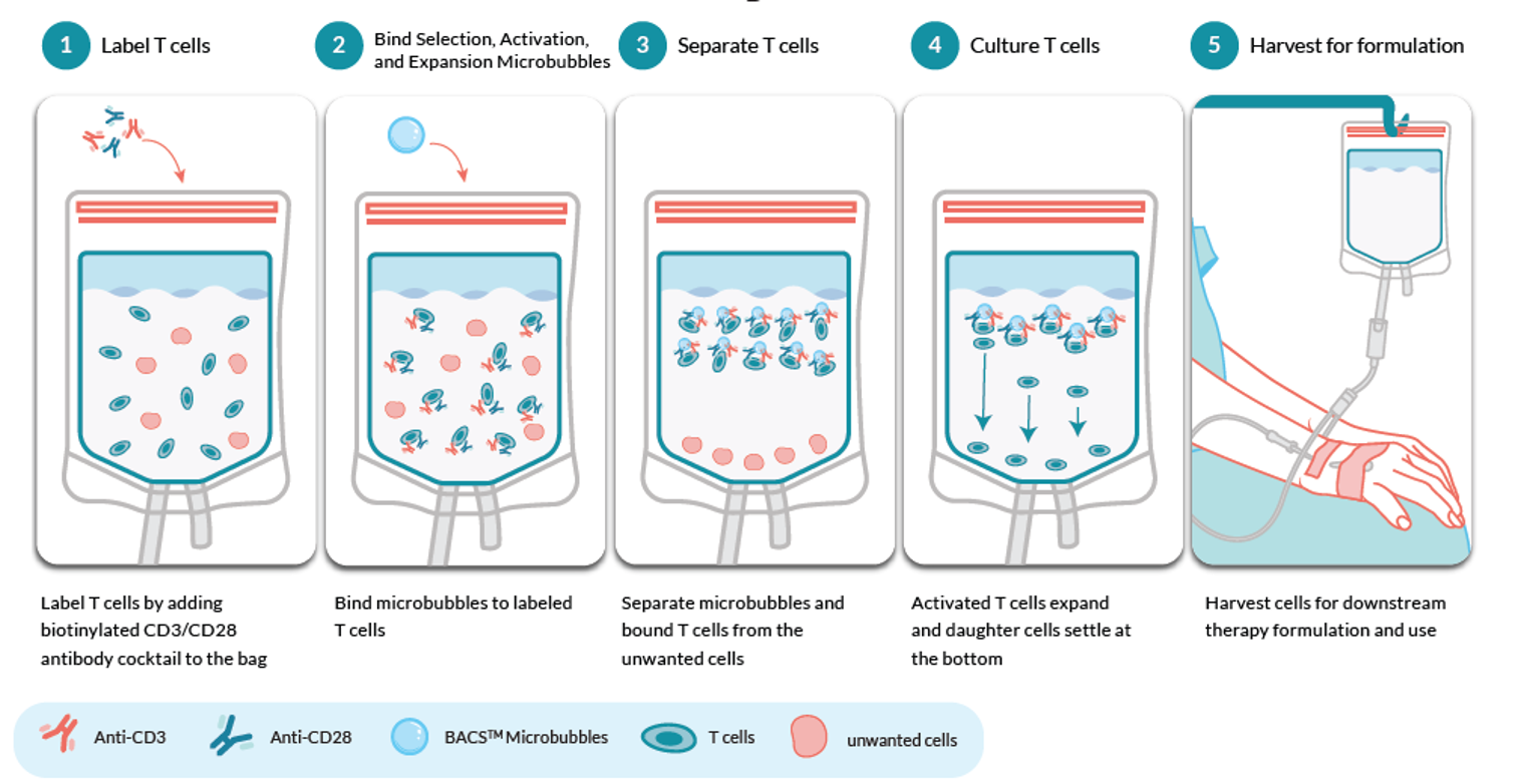 Human T Cell Selection, Activation & Expansion Kit GMP Grade